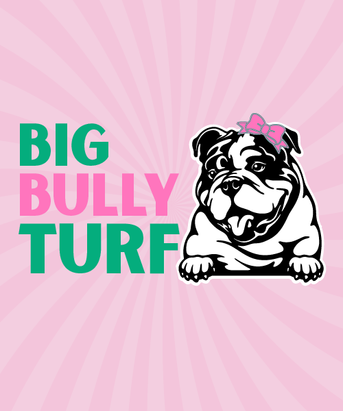 Turf and Artificial Grass Service | Big Bully Turf