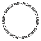 Lush, Evergreen Artificial Grass in San Diego | Big Bully Turf