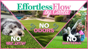 Turf and Artificial Grass Service | Big Bully Turf